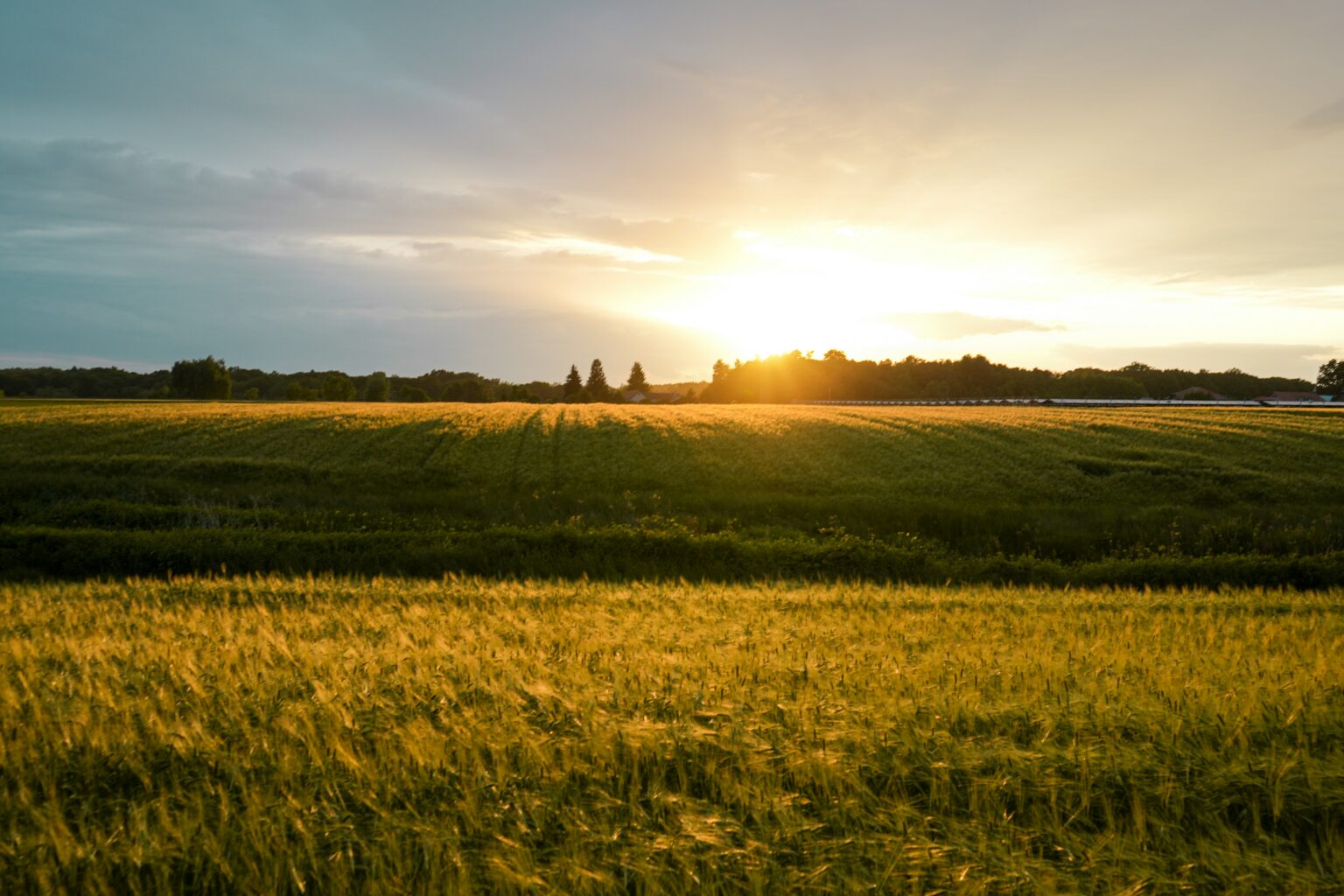 Organic Farmland Investment: Turning Farmers into Owners – Food Tank